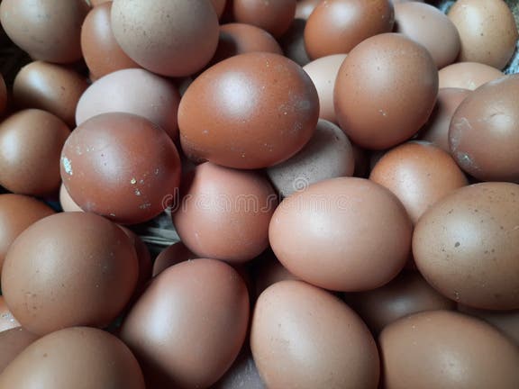 Pict of egg stock image. Image of baking, snack, breakfast - 236718723