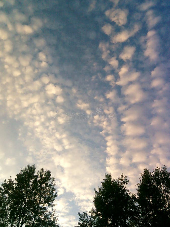 Guzel Gulova (Guzelka) - Photos