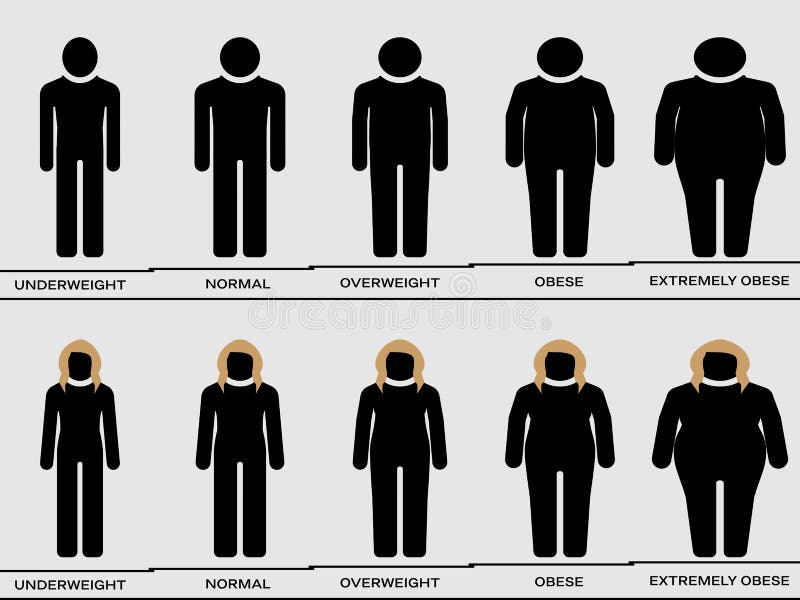 Visual Comparison among Different Types of Body Mass Stock Vector ... Visual Comparison among Different Types of Body Mass Stock Vector ...