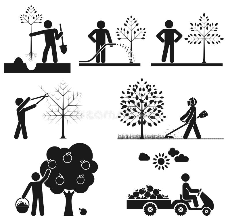 Pictograma ilustración del vector. Ilustración de vida - 26000005