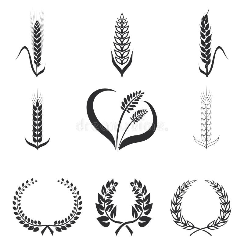 Pictogrammen Van Tarwe, Rogge, Graan Vectorillustratie Vector ...