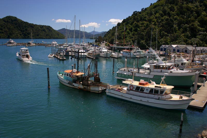 Picton harbour stock image. Image of boat, harbour, fjord - 11870561