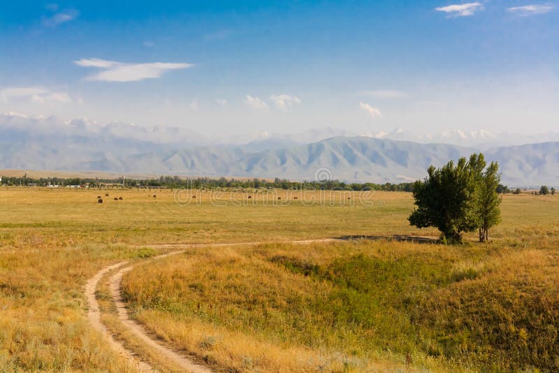 Pictorial Field on a Background of Mountains Stock Image - Image of ...
