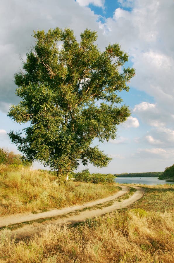 Pictorial landscape stock image. Image of road, tree - 13547805