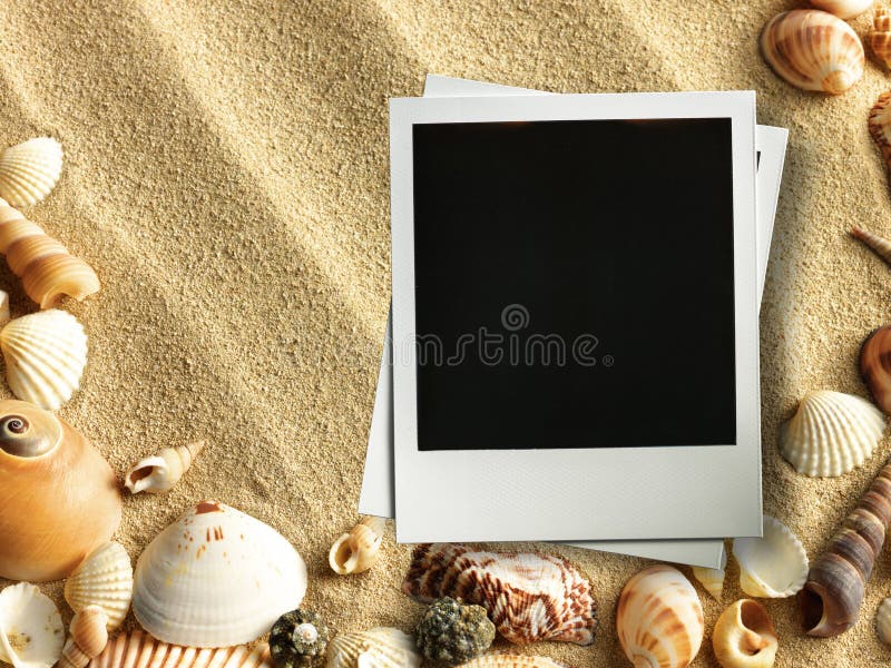 Shells on the sand stock photo. Image of shells, shell - 17286490