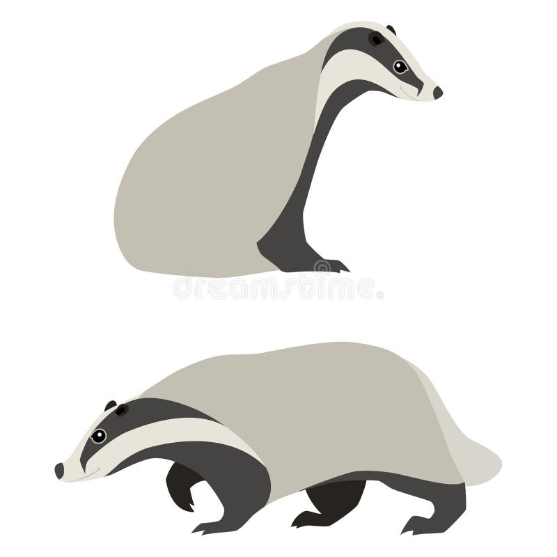 Badgers Sitting Stock Illustrations – 33 Badgers Sitting Stock ...