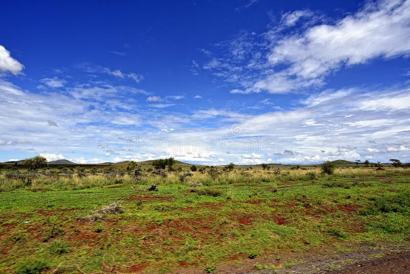 A Picture of the African Landscape Stock Image - Image of bush, green ...