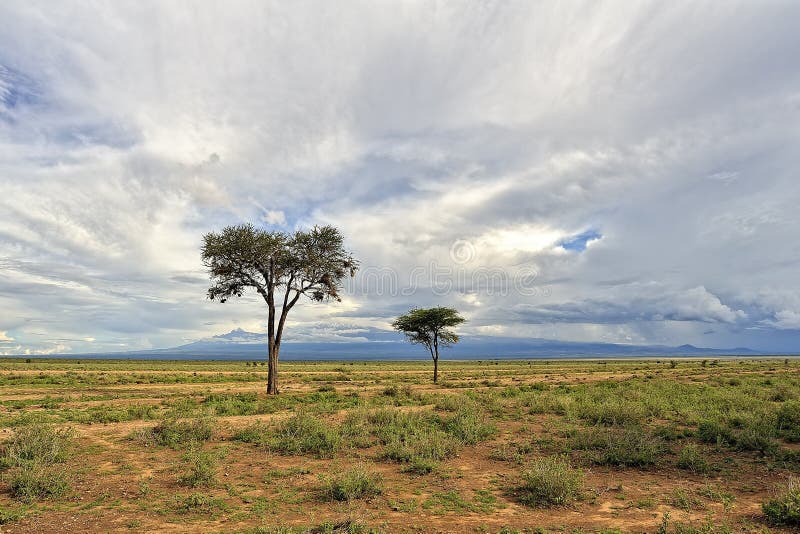 A Picture of the African Landscape Stock Photo - Image of national ...