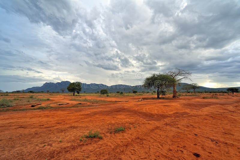 A Picture of the African Landscape Stock Photo - Image of nature, rural ...