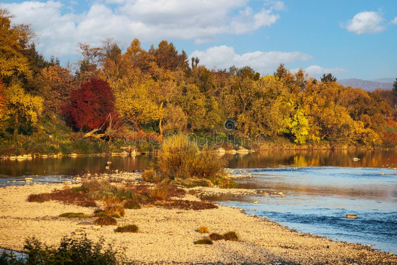 Autumn Trees Over the River Stock Image - Image of fall, outdoor: 243719013