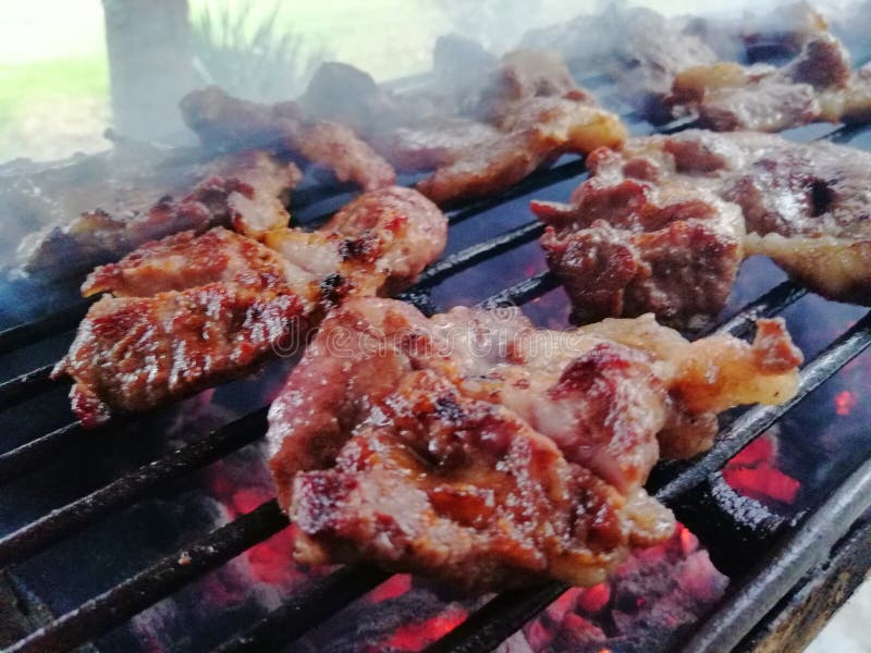 BBQ meat roasted on fire stock image. Image of cuisine - 180338937