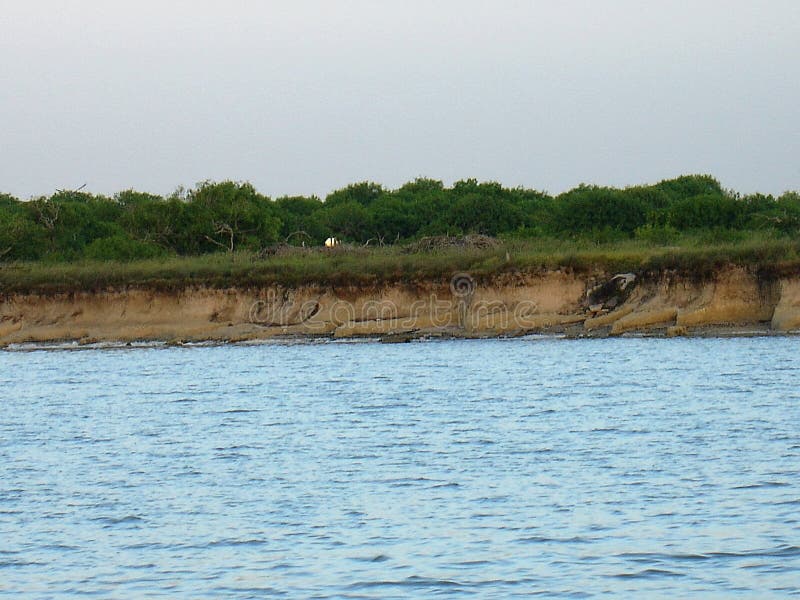 Picture of Beach at Baffin Bay, Texas Stock Photo - Image of nature ...