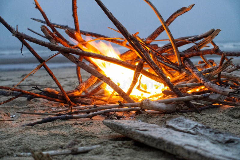 Beach bonfire stock image. Image of nature, camp, wood - 161290105