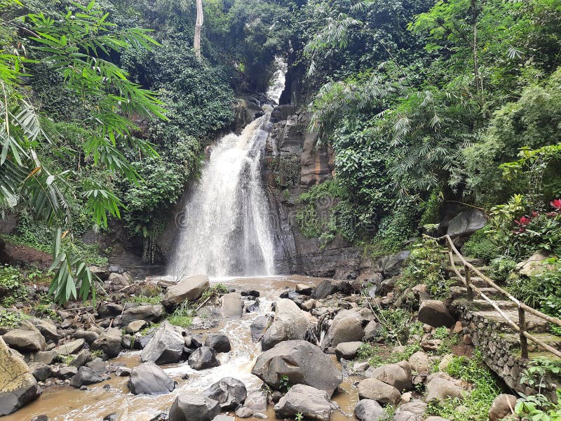 The Picture of Waterfalls and Rivers that are so Many Rock on Side ...