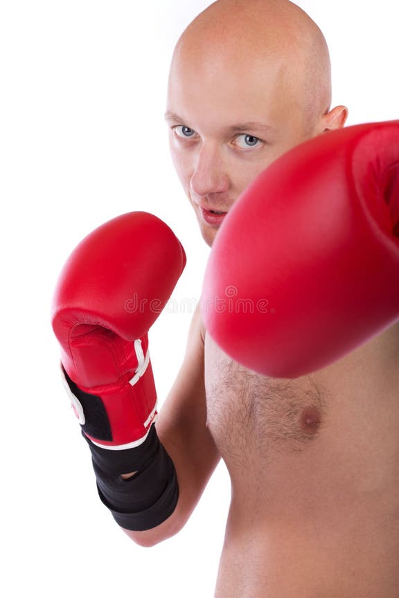 Picture of bold boxer stock image. Image of healthy, champion - 19338311