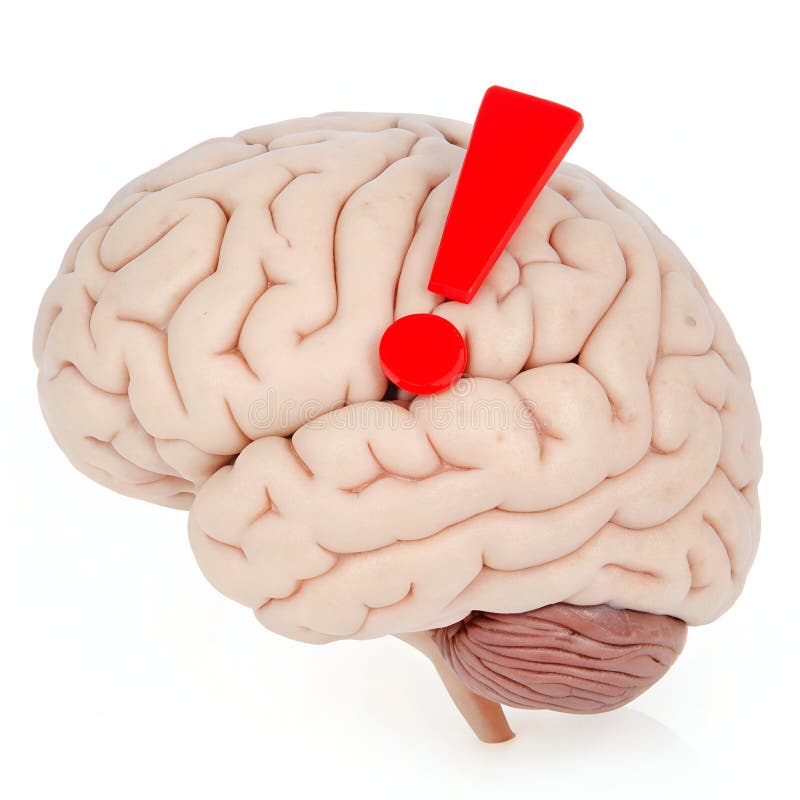 A Picture of a Brain with a Red Exclamation Point on it Stock ...