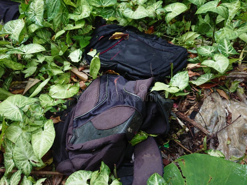Broken bag pictures stock photo. Image of tree, produce - 241864398