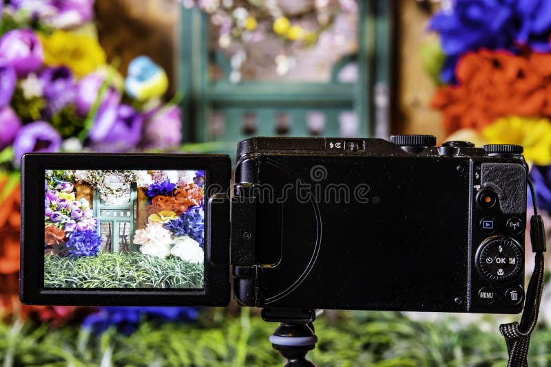 Picture of a Camera Taking a Picture of Spring Flowers Stock Photo ...