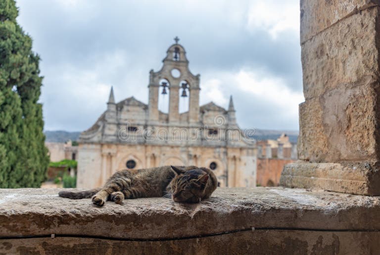 Arkadi Monastery Cat stock photo. Image of cloudy, eastern - 302072564