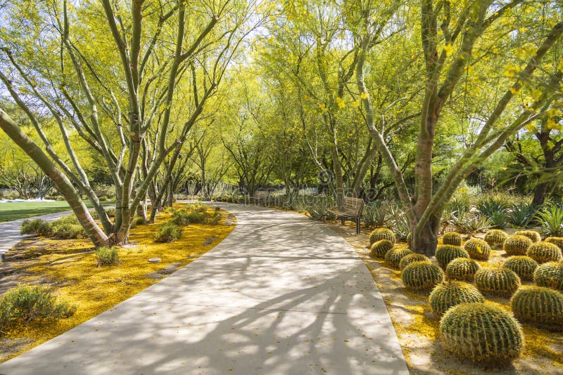 Cement Path Going through the Middle of Beautiful Yellow Trees Stock ...