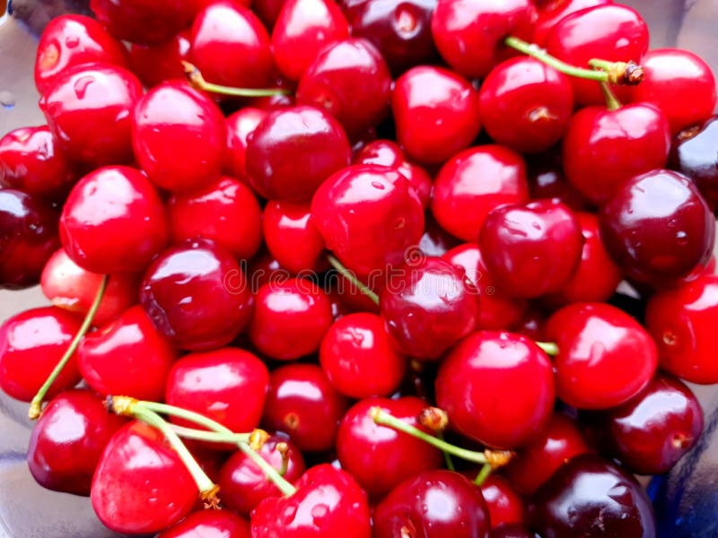 Cherry fruit background stock image. Image of branch - 232111815