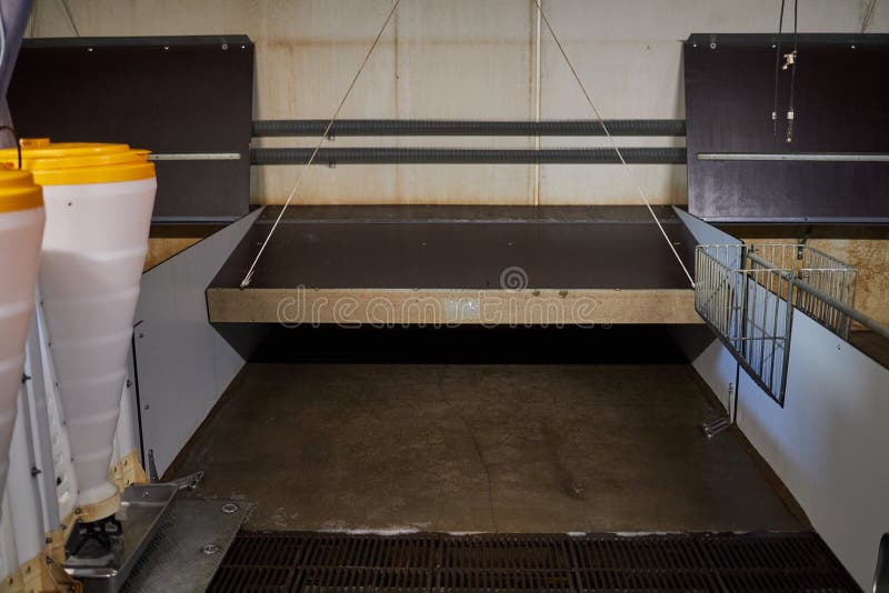 Picture of Clean Empty Pig Stall. Stock Image - Image of rusty, byre ...