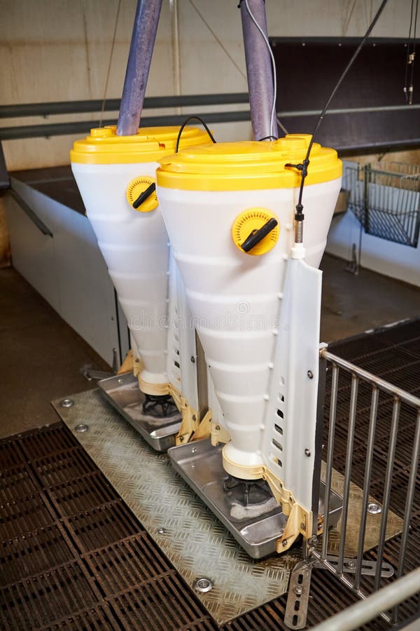 Picture of Clean Empty Pig Stall. Stock Image - Image of mystic, byre ...