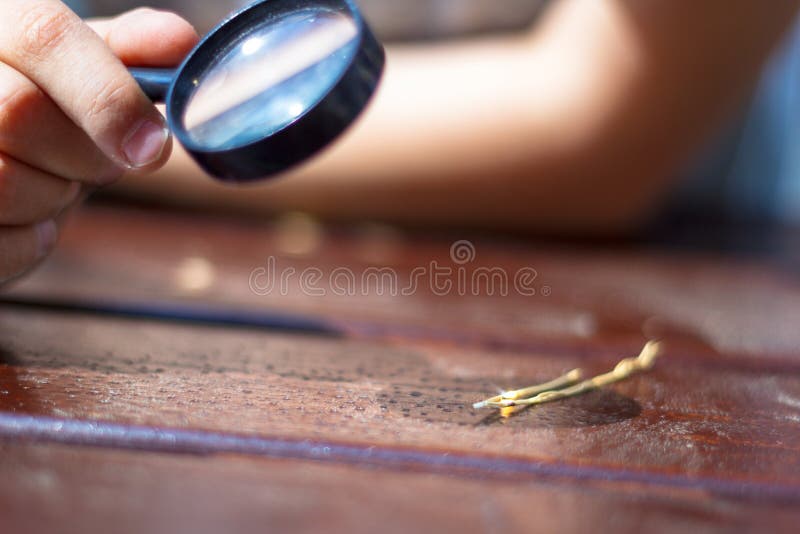 The Picture Creation of Fire by Means of Magnifying Glass, the Sun a ...