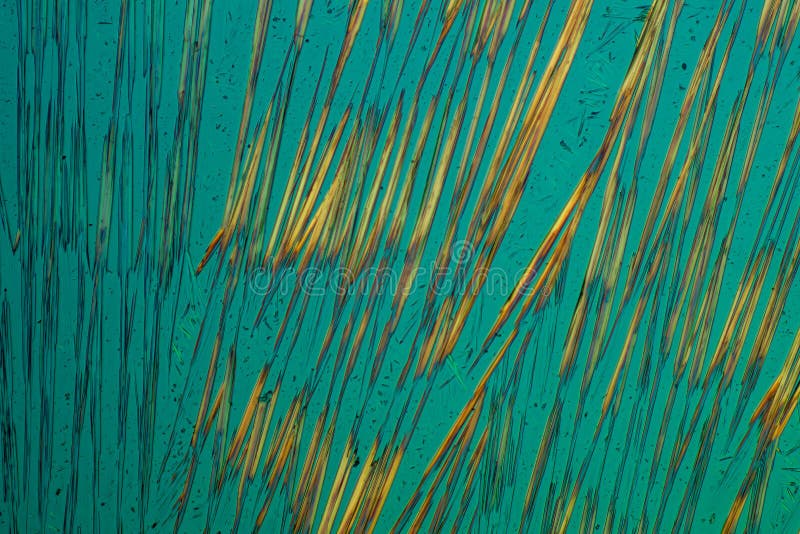 This is a Picture of the Crystals of the Chemical Substance Caffein ...