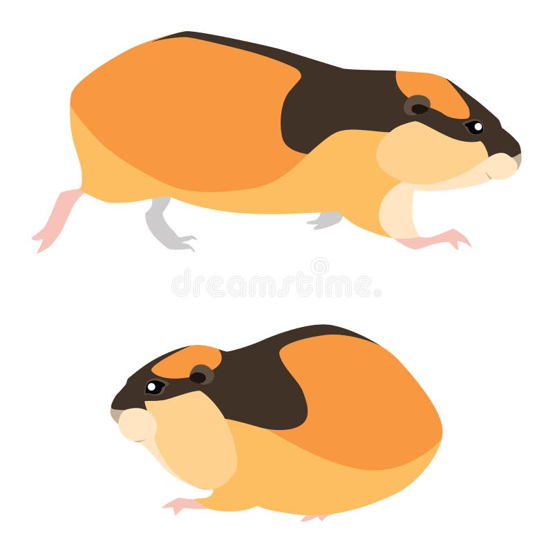 Lemmings stock illustration. Illustration of move, beautiful - 16423133