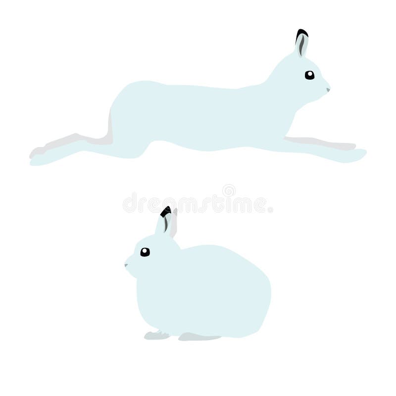 Arctic Cute Hares Snow Stock Illustrations – 6 Arctic Cute Hares Snow ...