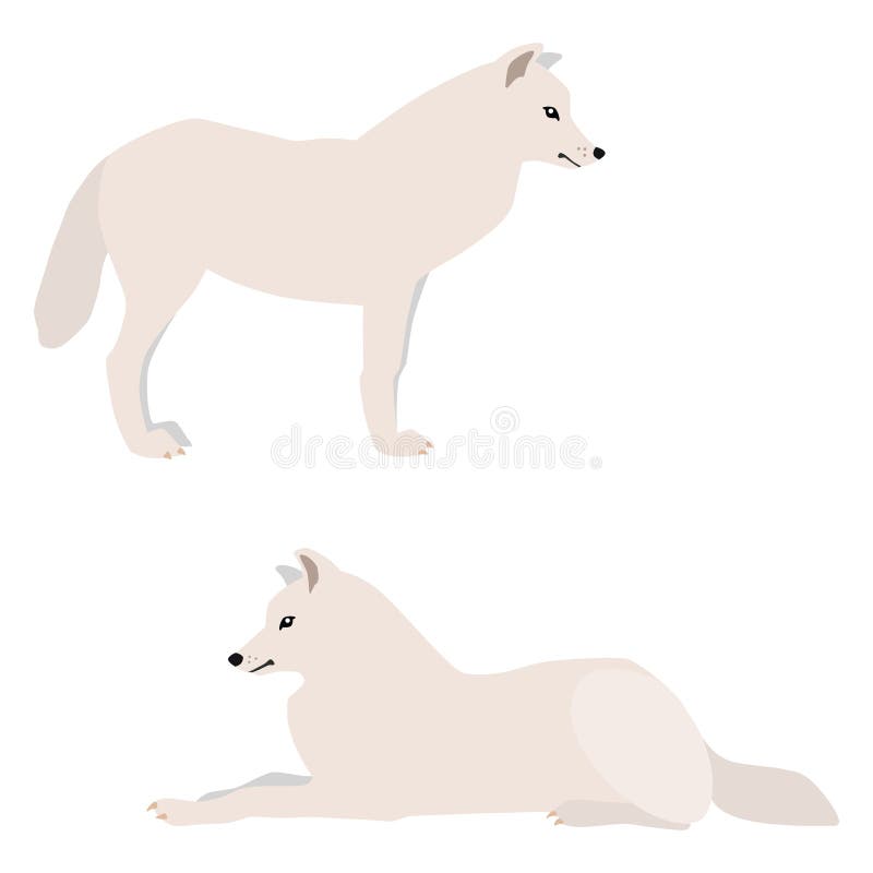 Two arctic wolves stock vector. Illustration of realistic - 180221471
