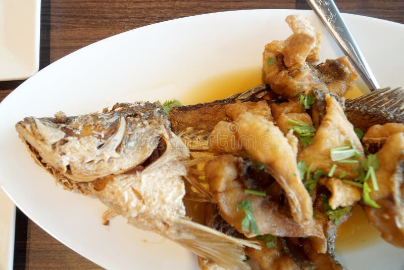 Snapper Fish stock image. Image of dish, delicious, sauce - 109728613