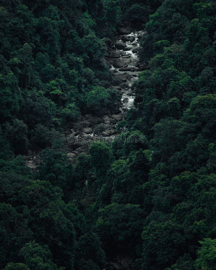 A Picture of Down Stream Flowing in the Taken from Bisle Ghats View ...
