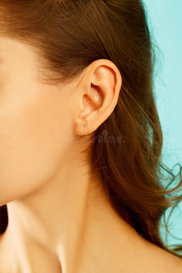 Picture of ear close up stock image. Image of beautiful - 106077233