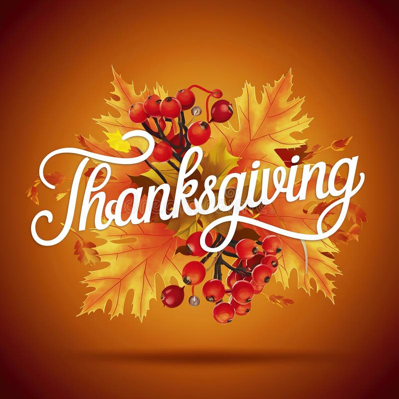 Picture of a Festive and Autumnal Thanksgiving on a Solid Background ...