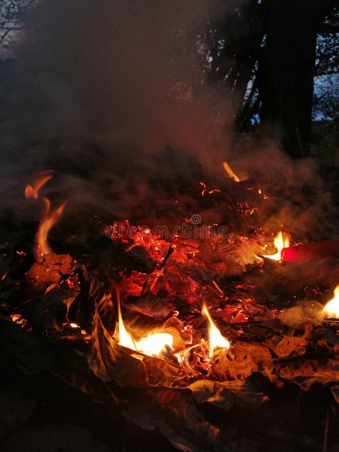 Fire stock photo. Image of fire, night, yellow, nature - 160017734