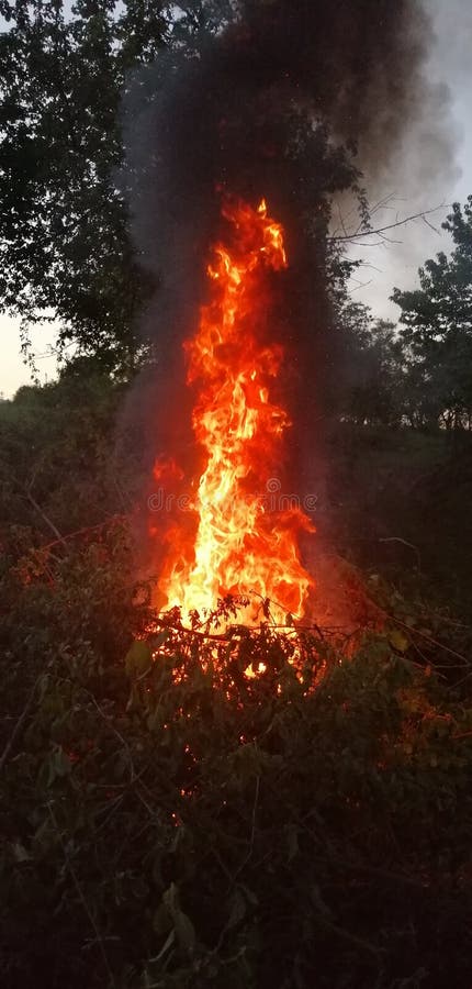 Fire in nature stock photo. Image of green, nature, fire - 147942294