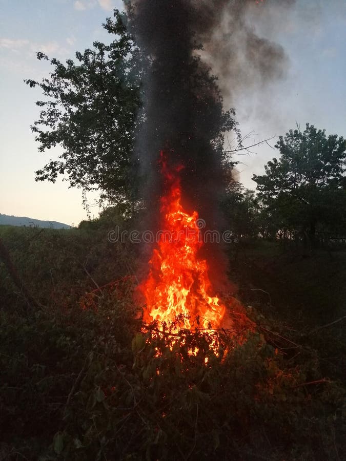 Fire in nature stock image. Image of nature, green, fire - 147942461