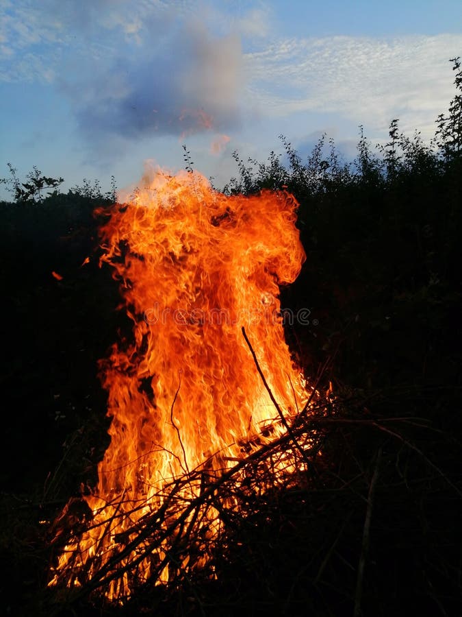 Fire in nature stock photo. Image of land, forest, fire - 159600526