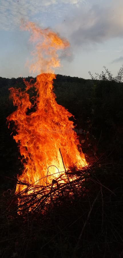 Fire in nature stock photo. Image of nature, land, fire - 159600548