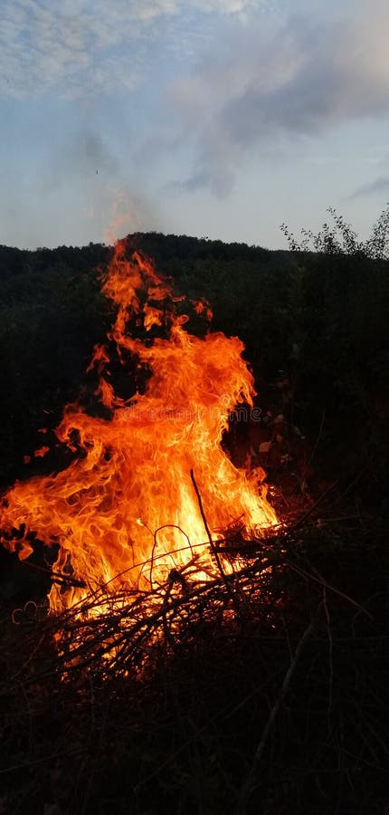 Fire in nature stock image. Image of forest, blue, land - 159600557
