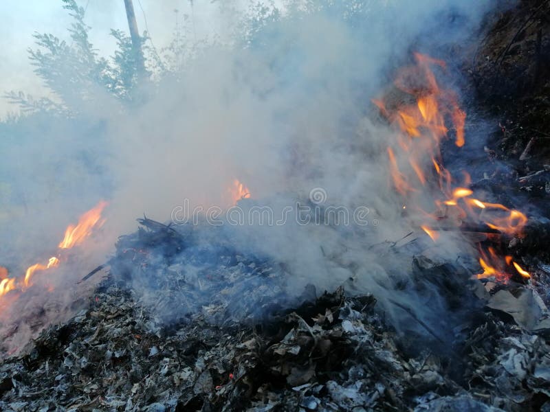 Fire in nature stock photo. Image of ozon, forest, smoke - 162160002