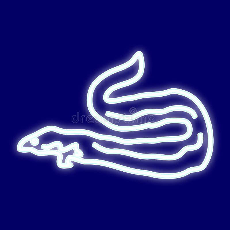 The Picture of the Fish Moray Eels. Stock Vector - Illustration of reef ...