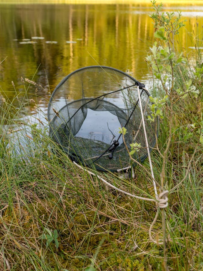 Picture with a Fish Storage Net on the Lake Shore Stock Image - Image ...