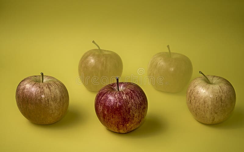 Five Red Apples stock photo. Image of fresh, isolated - 11394974