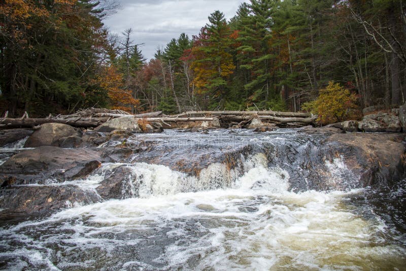 Flowing River with Rocks in the Stream Stock Image - Image of forest ...