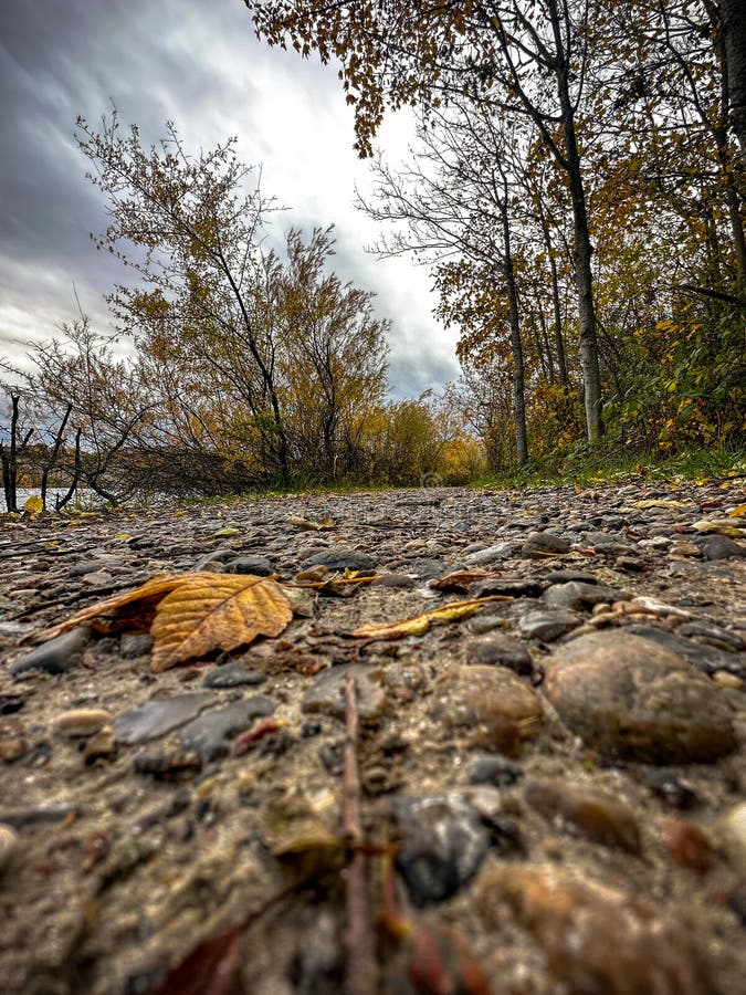 Picture of a Footpath in the Park. Stock Image - Image of orange ...
