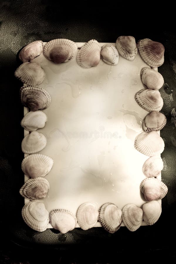 Picture Frame stock photo. Image of cockle, shell, water - 4177488