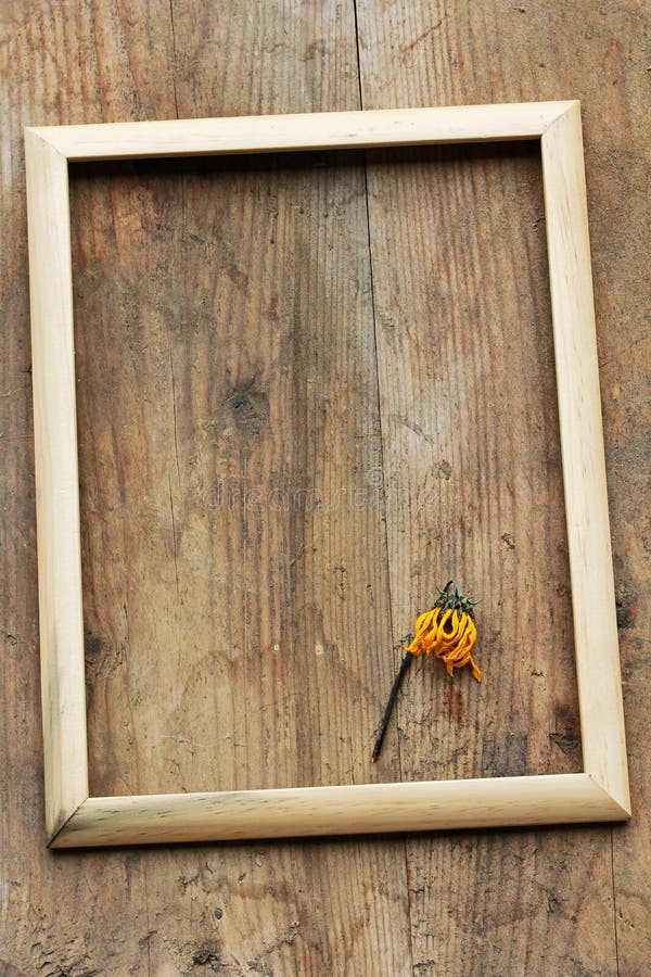 A Picture Frame on an Old Wooden Board Stock Photo - Image of portrait ...